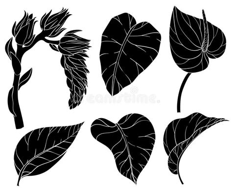 Tropical Leaves And Flowers Plants Silhouettes Stock Vector