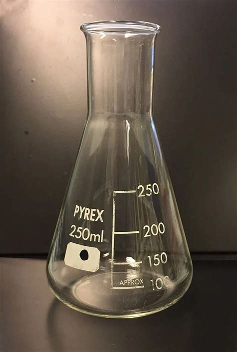 Erlenmeyer Flask Deformity Radiology Signs