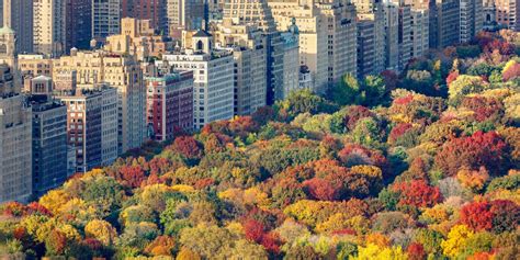 ᐅ Der Central Park New York im Herbst Winter 2025