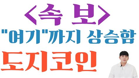 도지코인 얼마까지 상승할까 도지코인 도지코인전망 트위터도지 Youtube