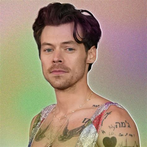 Harry Styles Hair Asher Quinn