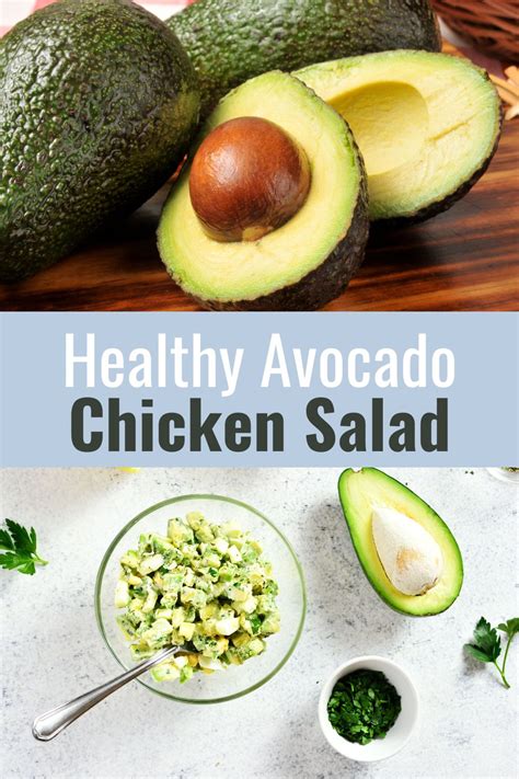 Avocado Chicken Salad Recipe The Regenerative Sower