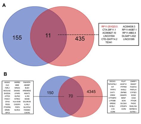 Venn Diagram Describing The Overlapping Lncrnas A And Mrnas B