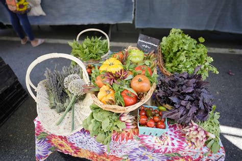 Allergy Vs Cold Symptoms How To Tell The Difference