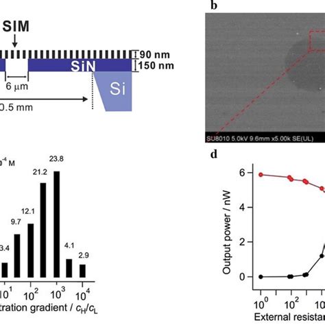 A B Diagram And Sem Image Of Simsin Structure C Rectification Ratio