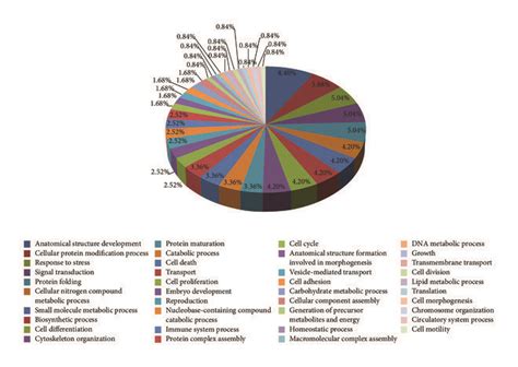 Functional Annotations Of All Identified Proteins All Identified Download Scientific Diagram