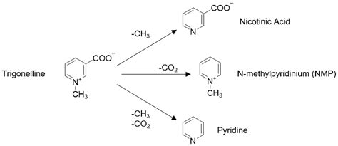 Validation Of N Methylpyridinium As A Feasible Biomarker For Roasted