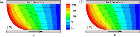Magnitude Of The A Rate Of Deformation Tensor B Vorticity Tensor Download Scientific