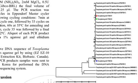 Figure1 Phylogenetic Tree Analysis Based On Repetitive Dna Sequence