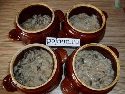 Жульен с грибами и курицей - рецепт с фото на Pojrem.ru