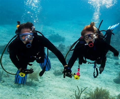 Ras Mohammed Diving And Snorkeling Trip With Lunch Hellego