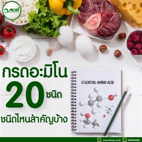 กรดอะมิโน 20 ชนิด ชนิดใดที่จำเป็นต่อร่างกายของคุณ Dmonwhey ดีม่อน
