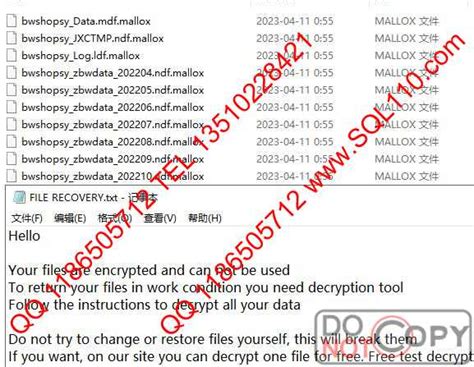 Mallox勒索病毒解密 服务器中毒解密mallox 数据库中勒索病毒解密恢复mallox