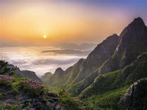 Voice Of Nature Sublim Ature Sobaek Mountains South Korea Ryu