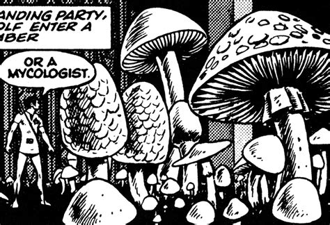 Mushroom Memory Beta Non Canon Star Trek Wiki Fandom