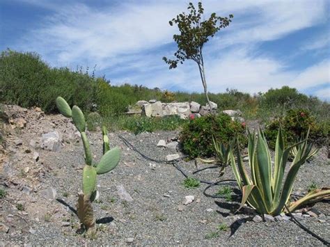 Tipos De Ecosistemas Características Y Biodiversidad
