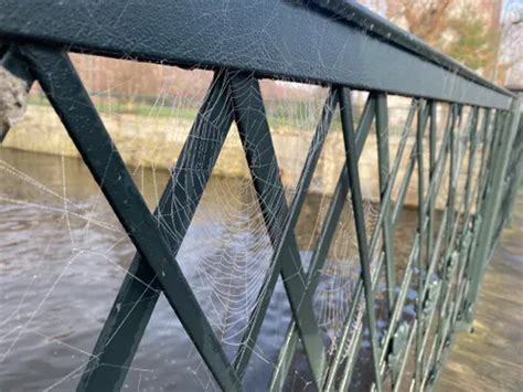 Best Historic Site Trails In Lowell Alltrails