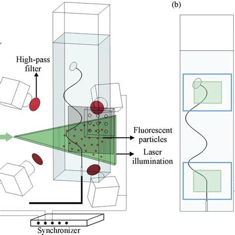 A Schematic Of The Time Resolved Tomographic Piv Tpiv Download Scientific Diagram