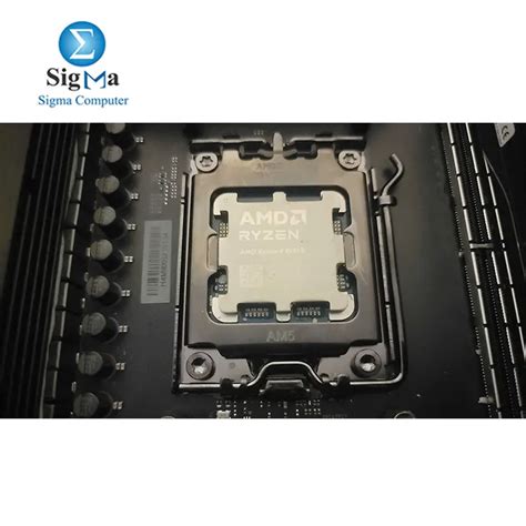 AMD Ryzen 9 9950X 16 Cores 32 Threads Up To 5 7 GHz Boost Clock 64 MB L3 Cache And Supports