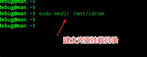 Kali虚拟机无法复制粘贴解决办法为什么从主机上复制的语句不到kali Csdn博客