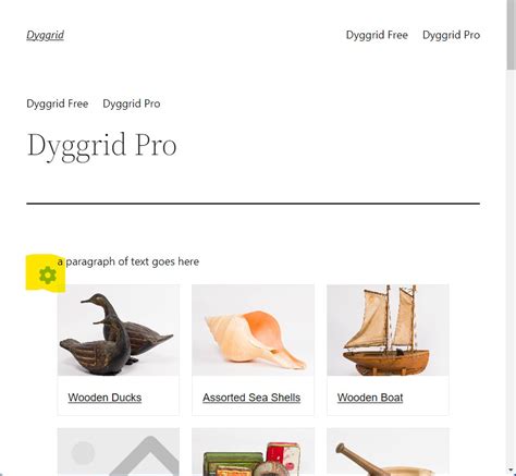 Getting Started Advanced Grid Builder
