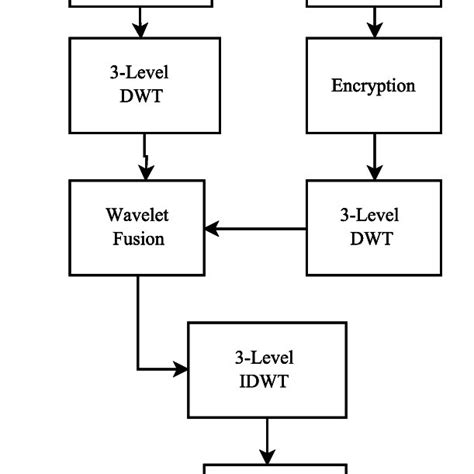 Embedding Process Download Scientific Diagram