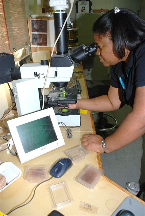 Oil Analysis Critical To Readiness Safety Article The United