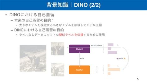 【dl輪読会】dinov2 Learning Robust Visual Features Without Supervision Pdf Technology And Computing