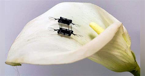 Elastomeric Actuators Lift Aerial Micro Robot Electronic Design