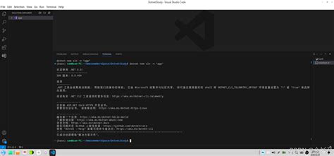 Net Sdk 各操作系统开发环境搭建dotnet Sdk Csdn博客