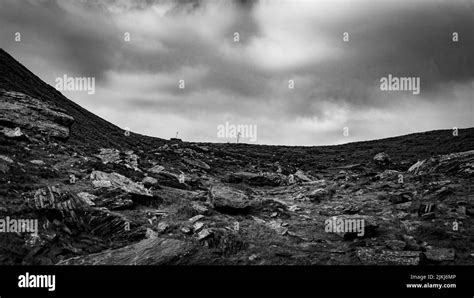 Grayscale Landscape Background
