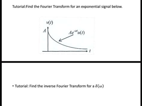 Solved Tutorialfind The Fourier Transform For An Exponential Signal