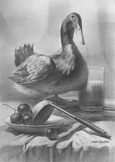 Birds Still Life Sketch By Bo Han Qiu Rimaginarystilllife
