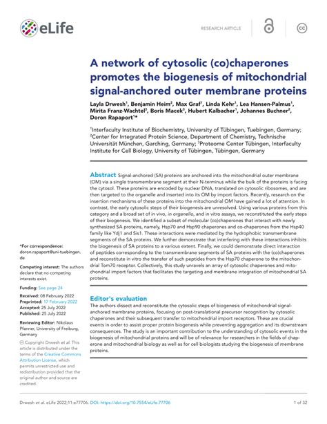 PDF A Network Of Cytosolic Co Chaperones Promotes The Biogenesis Of