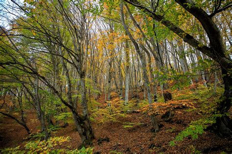 Tbilisi National Park