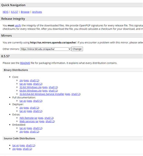 JavaSpring中Eclipse中进行web project开发时遇到httperror 500 错误 jsp support not