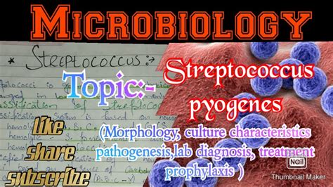Streptococcus Pyogenes Microbiology Streptococcus Pyogenes Notes Detail