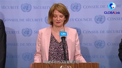 全球连线丨中国、挪威、突尼斯常驻联合国代表就当前巴以冲突局势发表共同谈话凤凰网视频凤凰网
