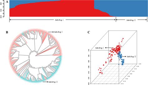 The Population Structure A Cluster Analysis B And Principal