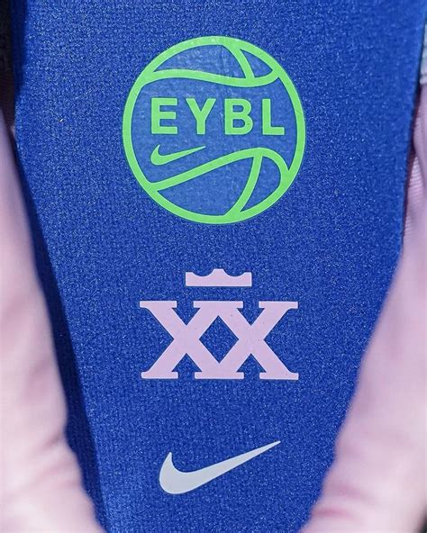 The Nike Lebron 20 Ebyl Celebrates Youth Basketball Thesitesupply