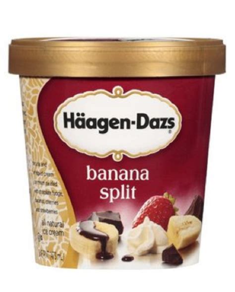 Haagen Dazs Cookies And Cream Ice Cream