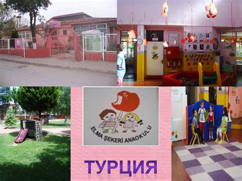 земята нашият общ дом Ppt