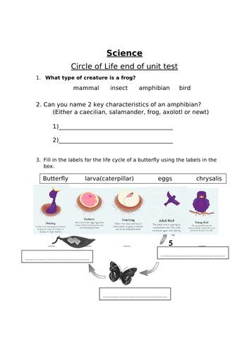 Life Cycles End Of Unit Test Year 5 Science Teaching Resources