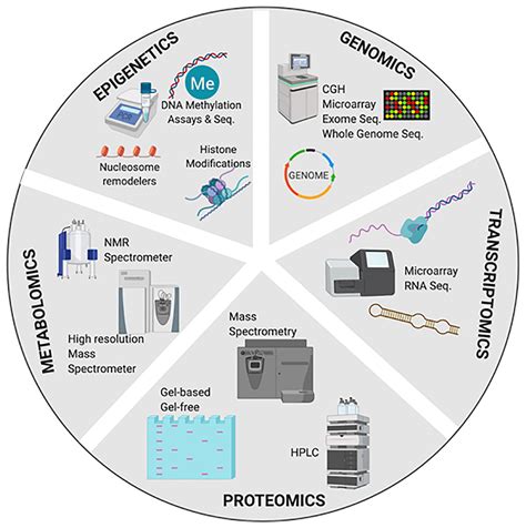 Frontiers Biomarkers In Psychiatry Concept Definition Types And
