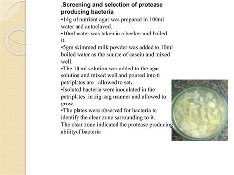 Isolation Of Protease Producing Microorganism Pptx Gardening Home And Garden