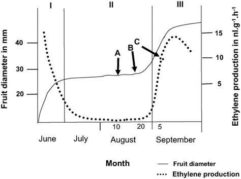 Double Sigmoid Growth Curve Of The Fig Showing The Progression In Fruit Download Scientific