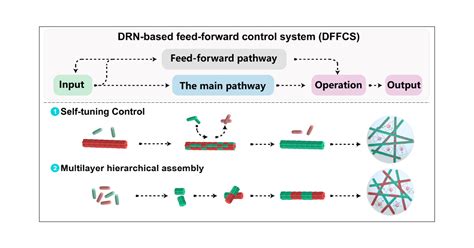 A Dynamic Control Center Based On A Dna Reaction Network For
