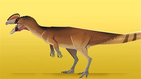 Deinonychus And Velociraptor Greco Westermann Artofit