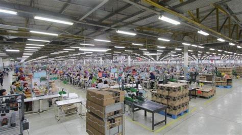 Lowongan Kerja Bekasi Pt Mattel Indonesia Di Jababeka Cikarang Butuh