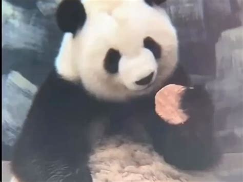 设计了渐变色，印刷出来有横杠，怎么解决？ 我精神态状很好啊 默认收藏夹 哔哩哔哩视频